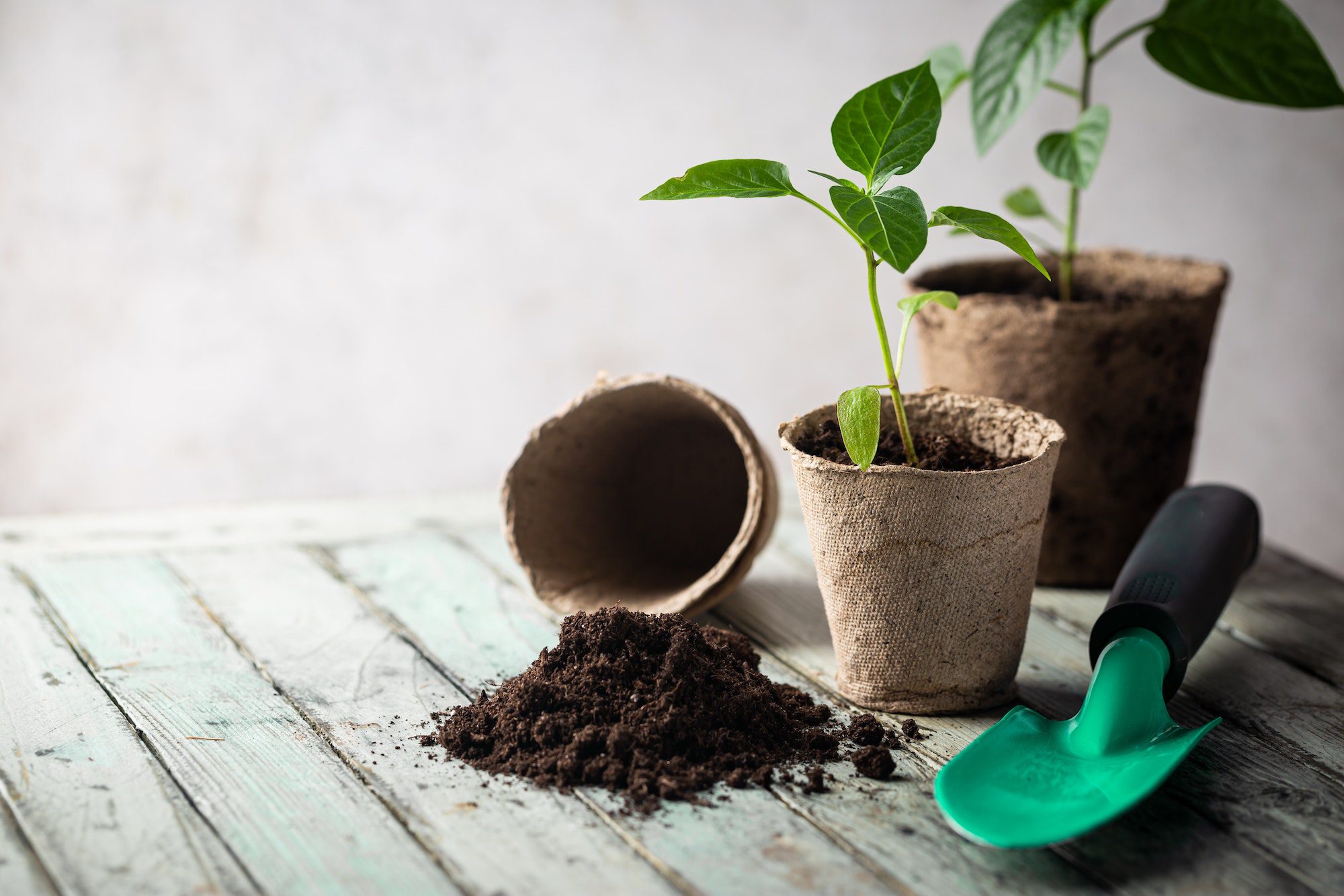 Spiritual Cultivation | Homeschooler Education Network